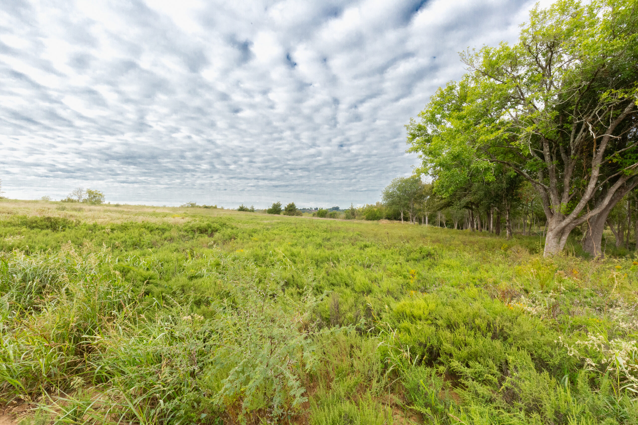 Acres vs. Lots: How to Choosing the Right Property Size - Faircroft